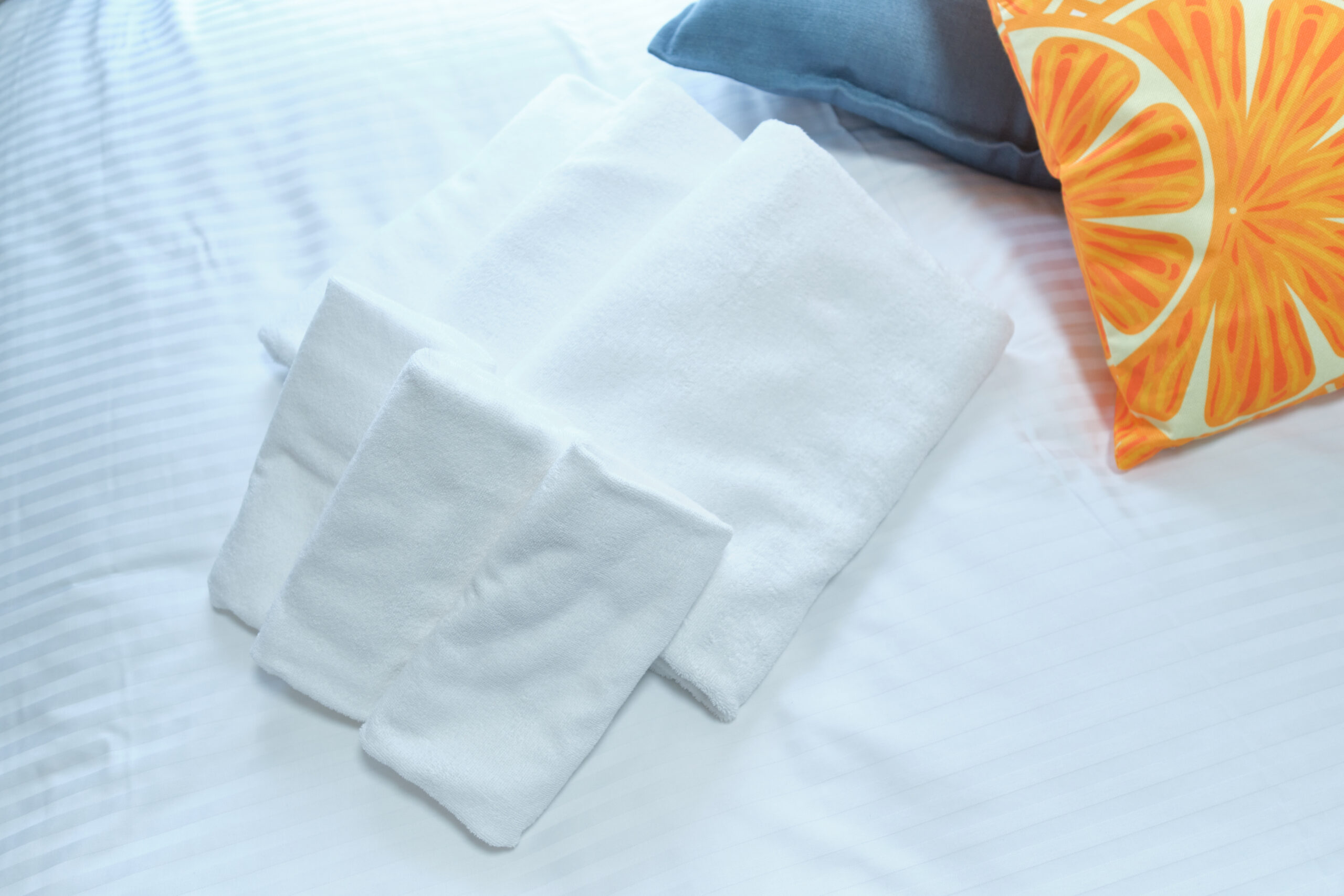 【Ars】 J-ARC新宿 - [公式]Tranova｜未知なる冒険を求めて -旅先で新たな発見を-